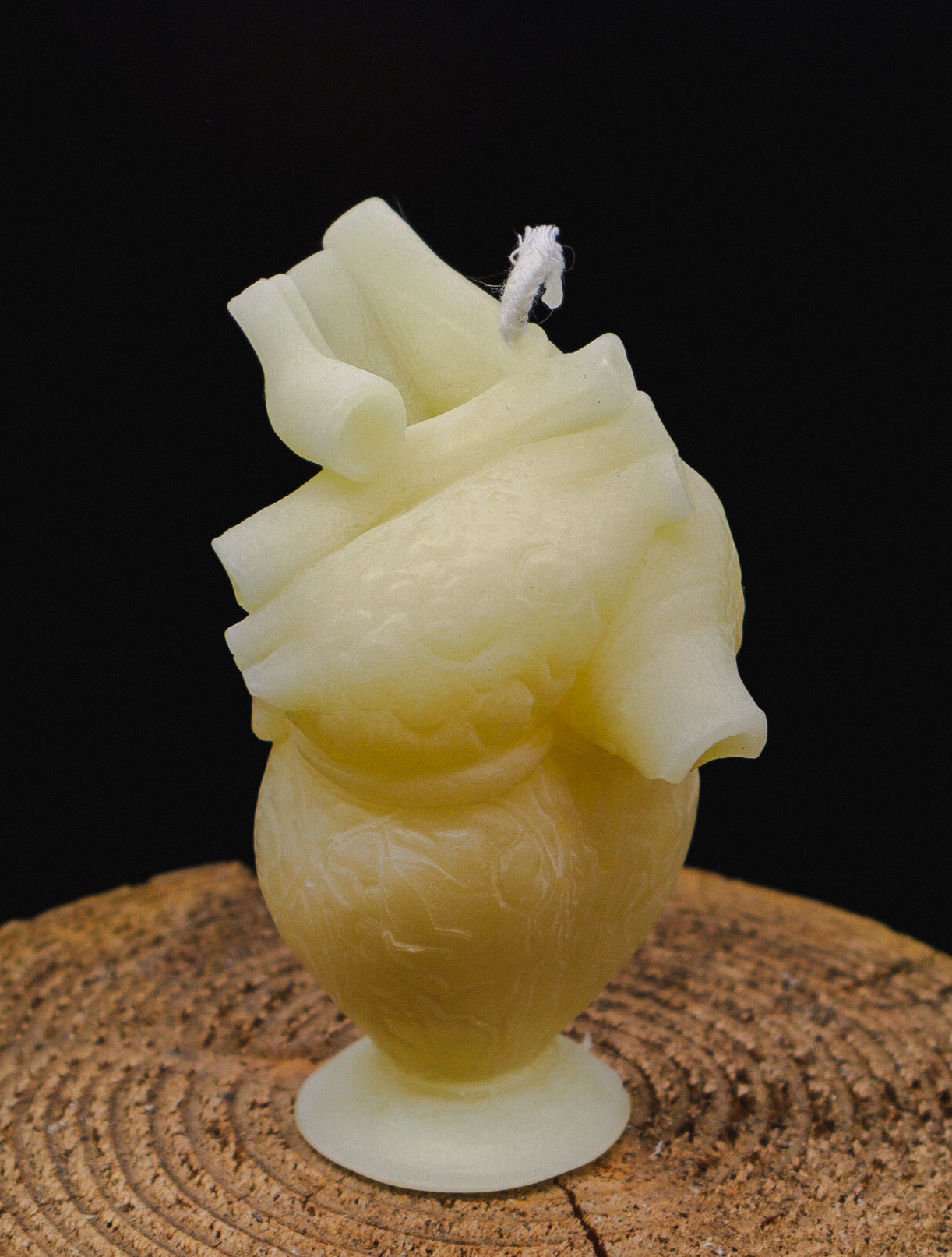 Human heart Candle – ginnybee.com