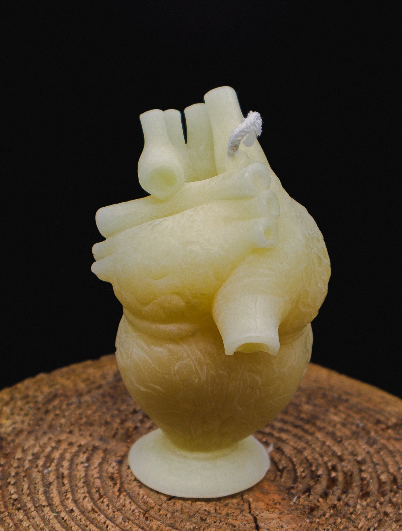 Human heart Candle – ginnybee.com